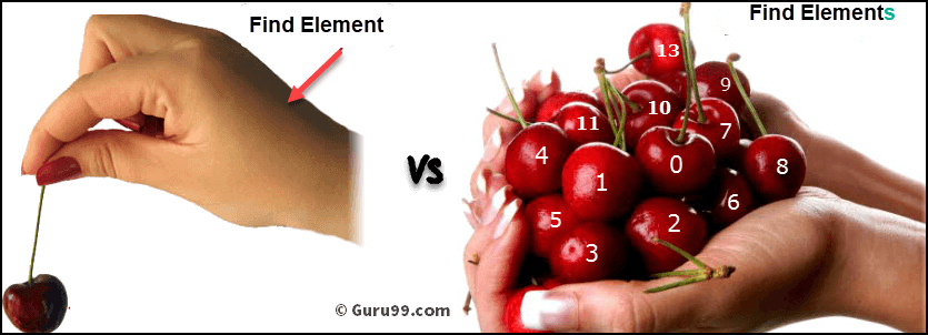 Find Element And FindElements By XPath In Selenium WebDriver