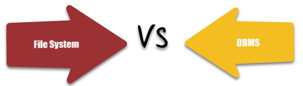 File System Vs DBMS Difference Between Them