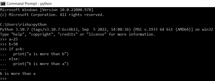 How To Run Python Scripts Step By Step Guide 2022 