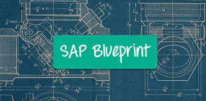 Progetto aziendale in SAP (Modello)